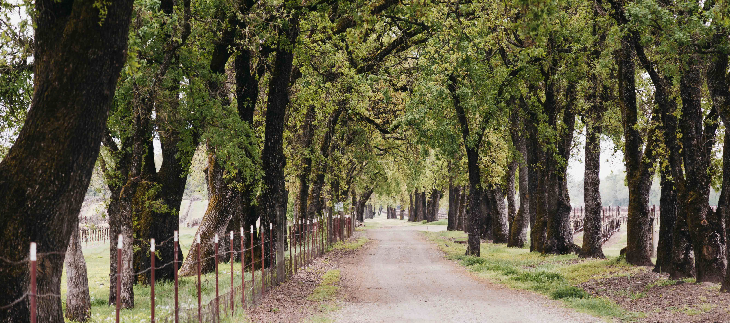 Visit - Serres Ranch Wine - Serres Ranch Wine