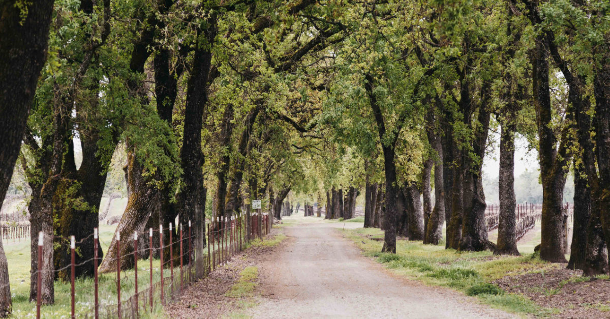 Visit - Serres Ranch Wine - Serres Ranch Wine