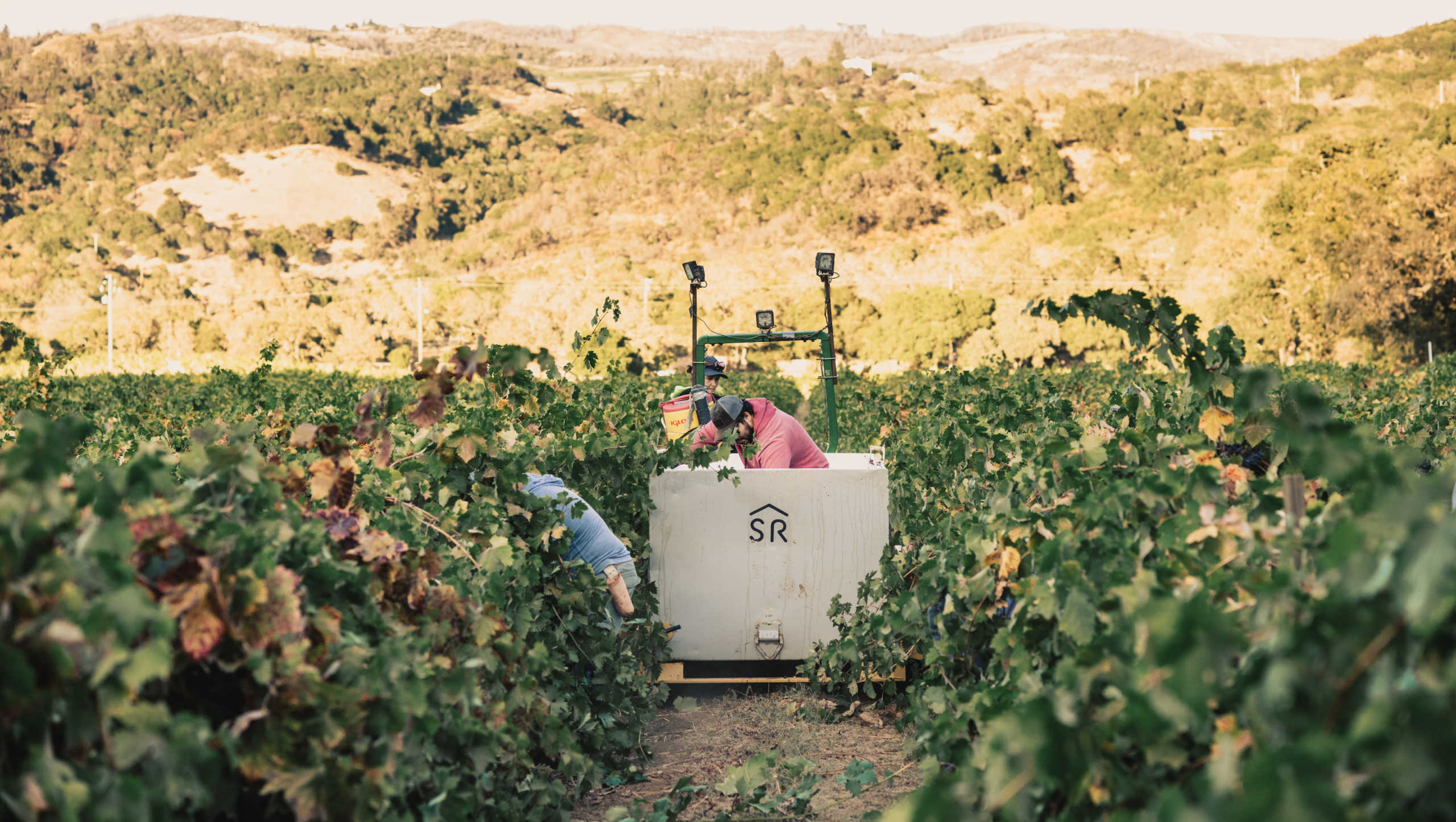 Visit - Serres Ranch Wine - Serres Ranch Wine